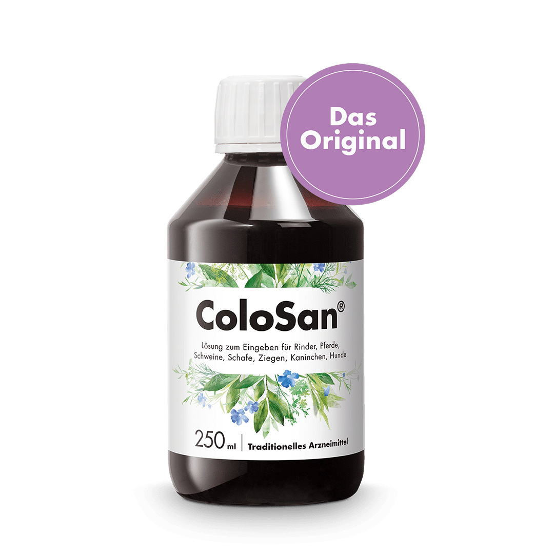 Dr. Schaette Pferd | ColoSan®